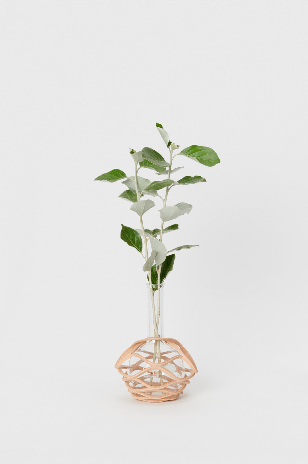 Hender Scheme – science vase：化瓶- 「Flat-bottom flask 300ml / natural ...